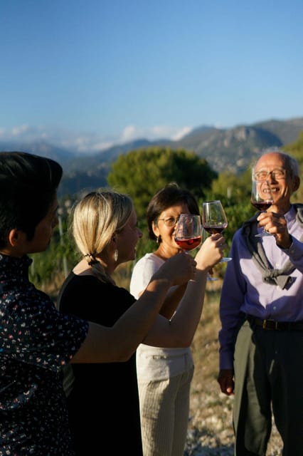 Nice: Vineyard Tour with Wine Tasting - What Makes This Tour Stand Out
