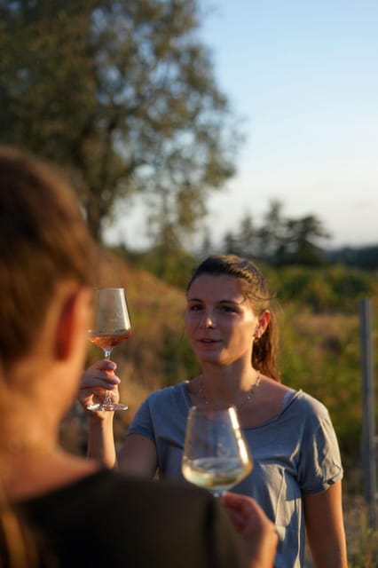 Nice: Vineyard Tour with Wine Tasting - Logistics and Practical Tips