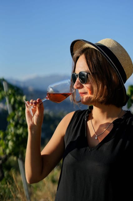 Nice: Vineyard Tour with Wine Tasting - Who Should Consider This Tour