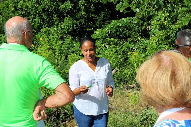 Nicole's Table - Cooking with Rum - Final Summary