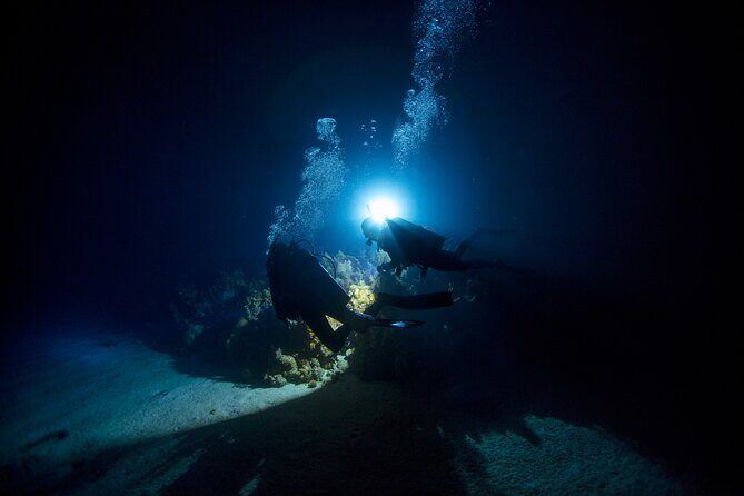 Night Dive Adventure in Oahu - Introduction
