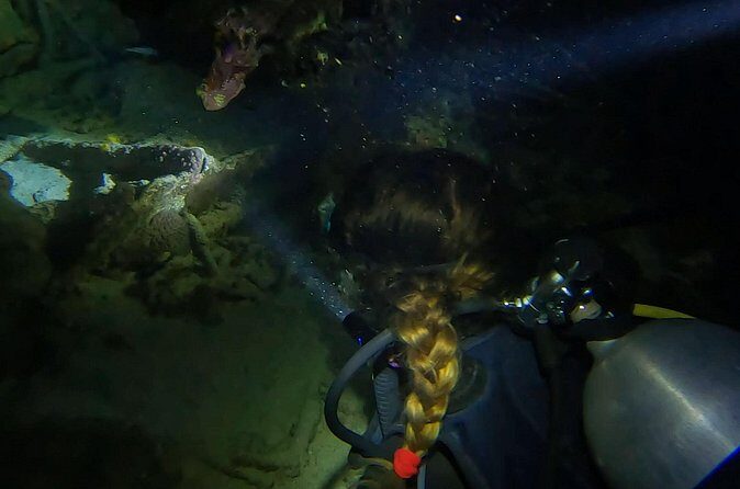 Night dive at Tugboat Beach in Curacao - Is This Tour Right for You?
