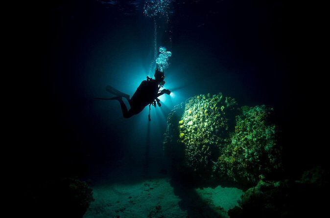 Night dive at Tugboat Beach in Curacao - FAQ