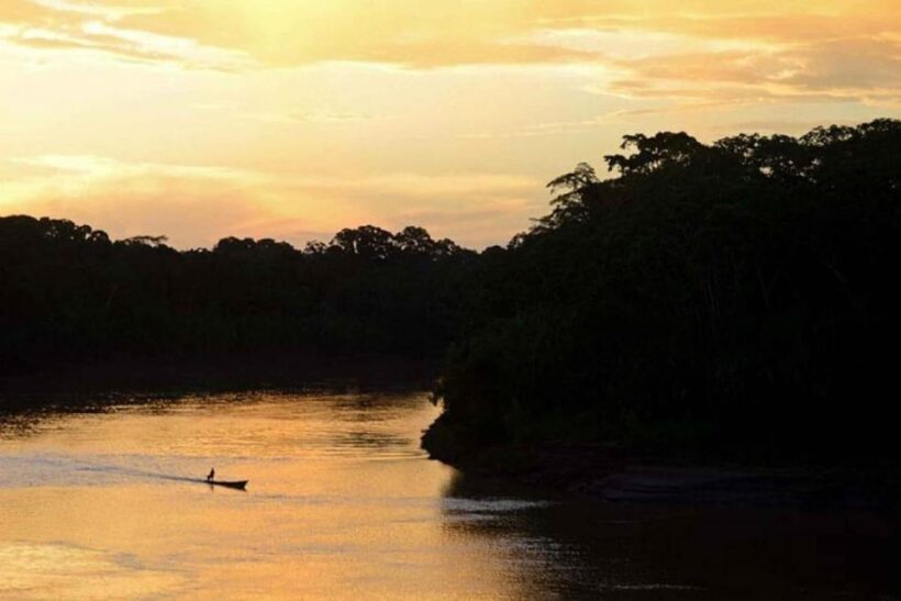Night Excursion Search for Alligators | Tambopata River - Key Points