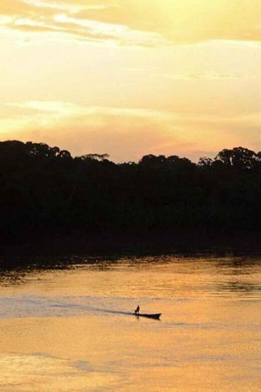 Night Excursion Search for Alligators | Tambopata River - The Value of the Tour