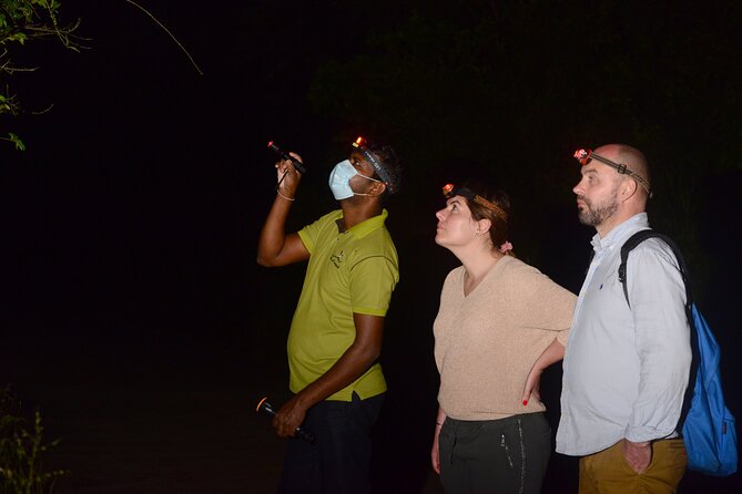 Night Hike to see Elusive & Rare Loris in Sigiriya - Why This Tour Is Worth Considering