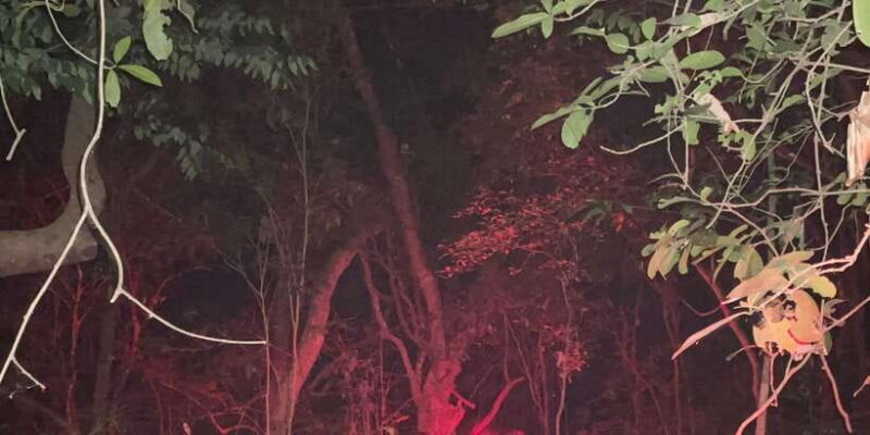 Night Hike to see Elusive & Rare Loris in Sigiriya - Practical Tips for Your Night Hike