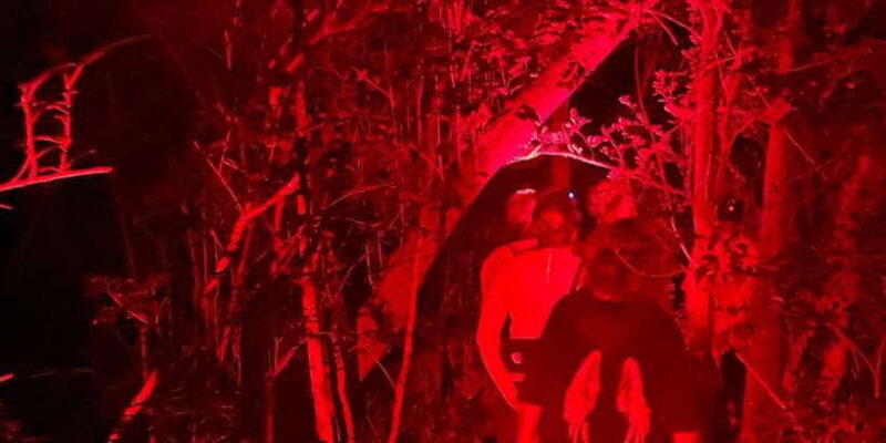 Night Hike to see Elusive & Rare Loris in Sigiriya - The Sum Up