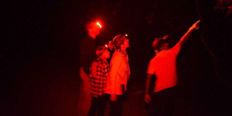 Night Hike to see Elusive & Rare Loris in Sigiriya - FAQ