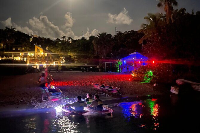 Night Kayak Tour St. John - Westin Resort - The Sum Up: Who Will Love This Tour?
