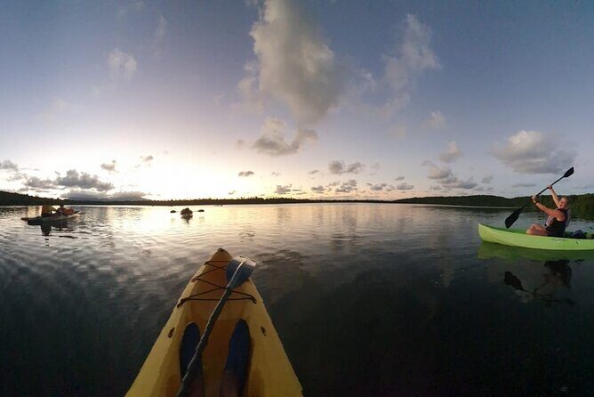 Night Kayaking Experience on Bioluminescent Lagoon in Fajardo - The Sum Up