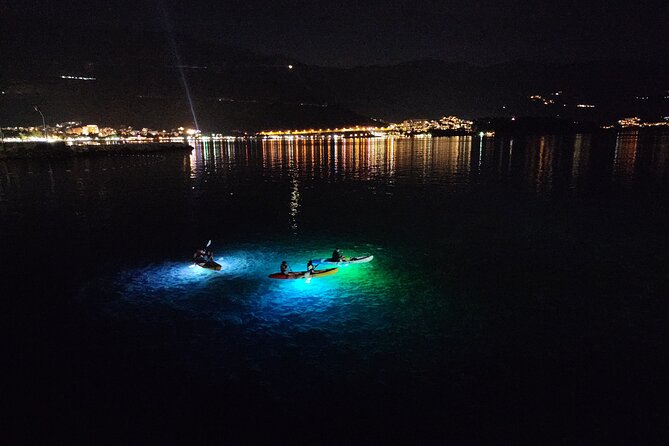 Night Lights Kayak Adventure - Frequently Asked Questions