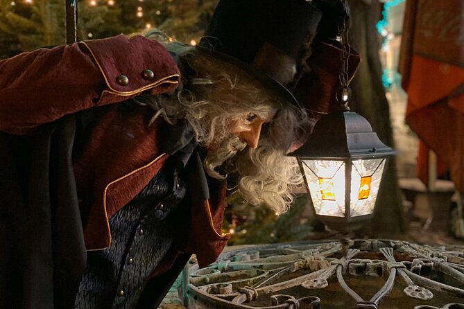 Night Magic City Tour in Berlin - Tour Operator and Response to Reviews