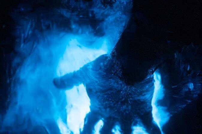 Night Mangrove Kayak Tour - Practical Extras and Comfort