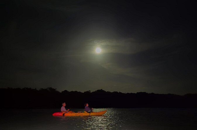 Night Mangrove Kayak Tour - The Authentic Experience and Why It Matters