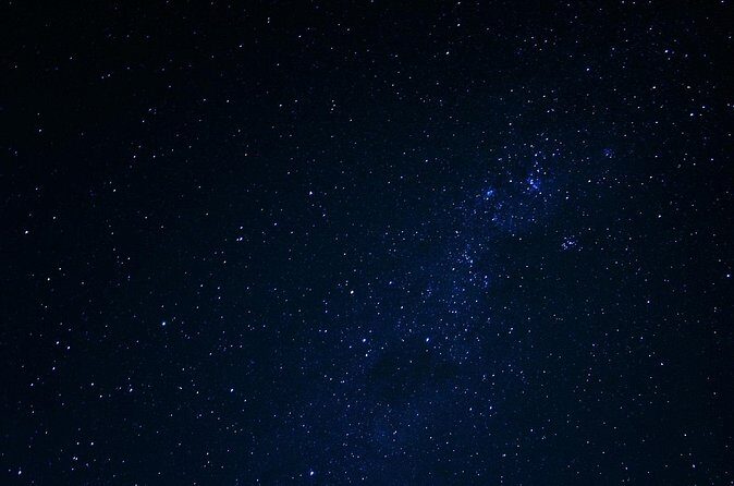 Night Mangrove Kayak Tour - Accessibility and Suitability