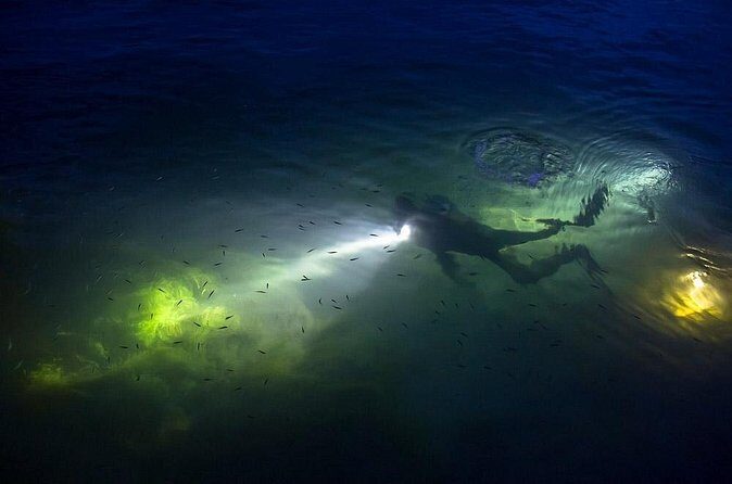 Night Shore Diving Mangel Halto Aruba for Certified Divers - Logistics and Practical Tips