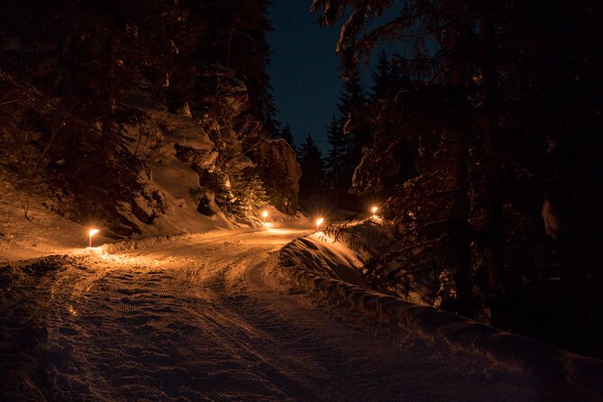 Night Sledding From Interlaken - Booking and Reservation Options