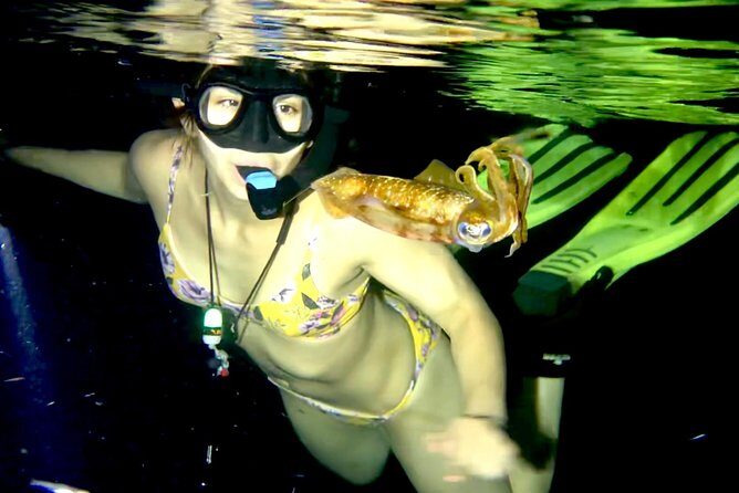 Night Snorkeling - Observation of octopus and other species - What to Expect During the Night Snorkeling