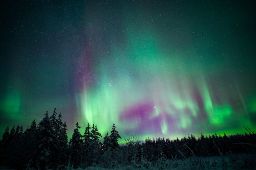 Night Snowshoeing Adventure under the Northern Lights - Cozy Breaks Around the Campfire