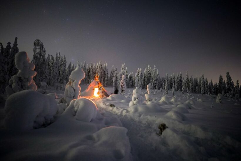 Night Snowshoeing Adventure under the Northern Lights - Who Will Love This Tour?