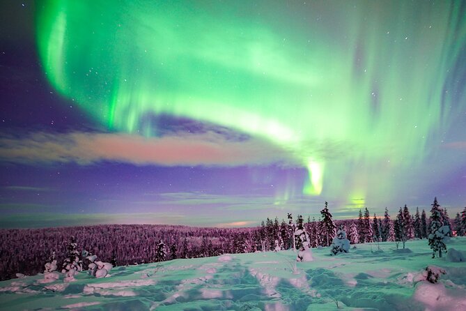 Night Snowshoeing Adventure under the Northern Lights - Who Would Love This Experience?