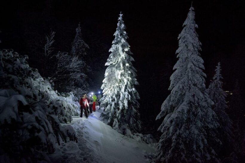 Night Snowshoeing Lapland Experience - Key Points