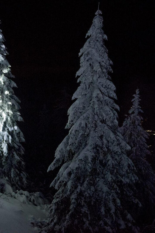 Night Snowshoeing Lapland Experience - The Value Proposition: Is It Worth the Price?
