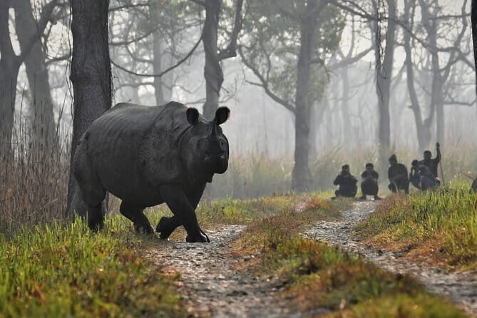 Night Stay in Chitwan National Park, 2 Nights 3 Days Package - An Honest Look at the Chitwan Safari Package