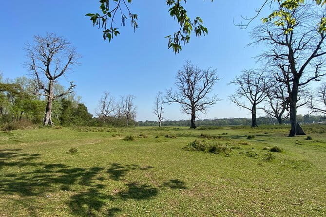 Night Stay in Chitwan National Park, 2 Nights 3 Days Package - The Sum Up: Who Is This Tour Best For?