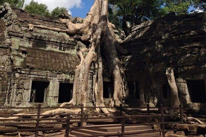 Night Street Tour in Siem Reap - Final Thoughts: Is This Tour for You?