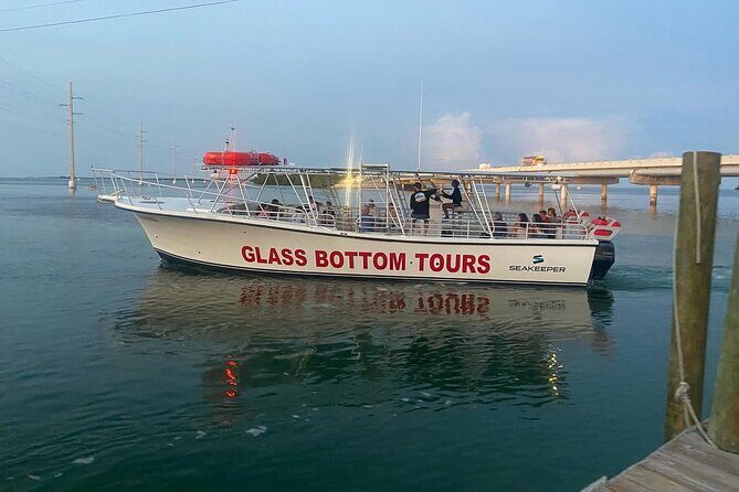Night Tour Glass Bottom Boat in Islamorada - Introduction to the Night Glass Bottom Boat Tour in Islamorada