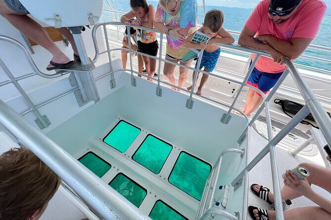 Night Tour Glass Bottom Boat in Islamorada - The Experience: Comfort, Sightings, and Education