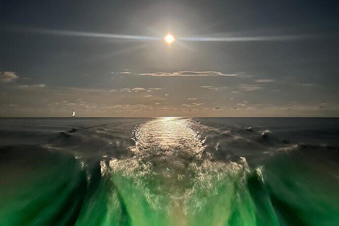 Night Tour Glass Bottom Boat in Islamorada - Group Size, Duration, and Practical Details