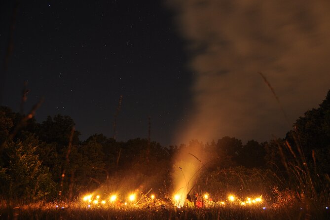 Night Tour in Hoia Baciu Forest - What to Expect on the Night Tour