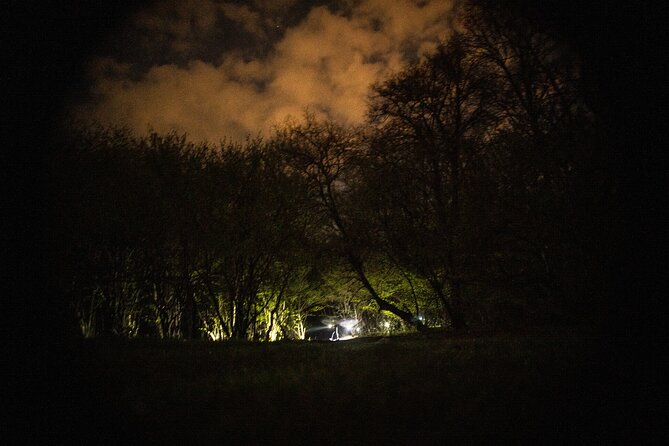 Night Tour in Hoia Baciu Forest - Navigating the Path: The 3.5-km Journey