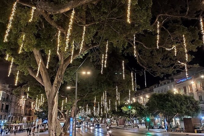 Night Tour in Malaga: Enjoy the Sunset and City Lights - Discover Malagas Iconic Landmarks at Dusk