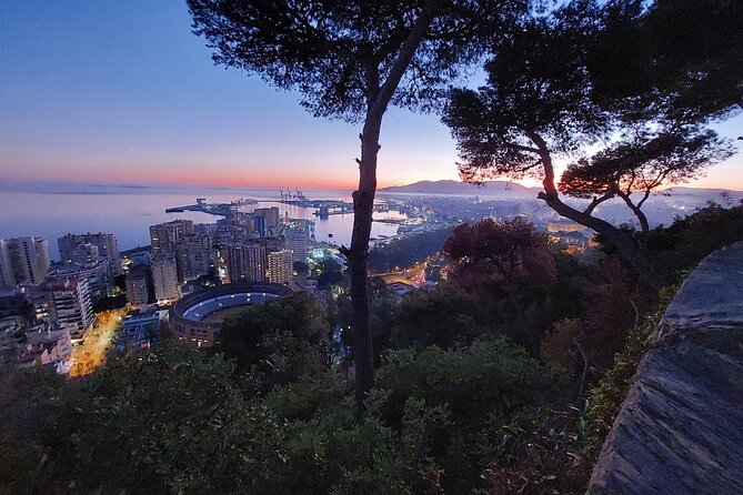 Night Tour in Malaga: Enjoy the Sunset and City Lights - Guided Tour: Navigating Malaga With Ease