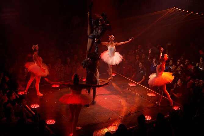 Night tour to Coco Bongo Punta Cana from Santo Domingo with Open Bar - The Sum Up