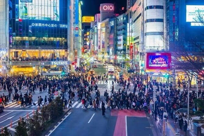 Night Tour Tokyo in Shinjuku - Key Points