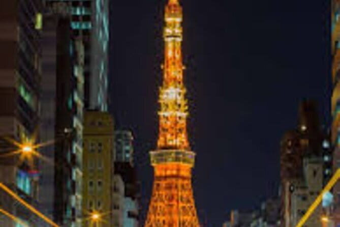 Night Tour Tokyo in Shinjuku - A Closer Look at the Night Tour in Tokyo