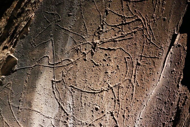 Night Visit to the Engravings of Foz Côa in 4x4 Between Douro and Côa - Booking and Cancellation Policies