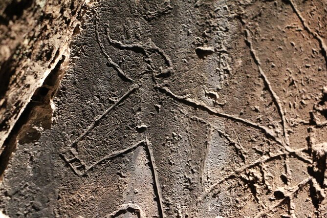 Night Visit to the Engravings of Foz Côa in 4x4 Between Douro and Côa - Since You Asked