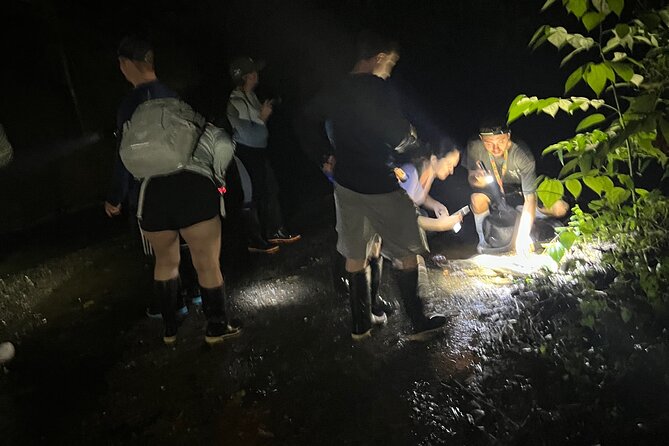 Night Walk Tour and Jungle Dinner in Jaco - Guides and Safety Measures