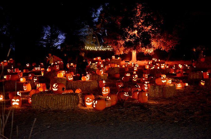 Nightfall - Final Thoughts: Is Nightfall at Filoli Worth It?