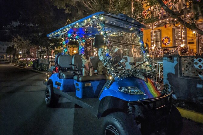 Nights of Lights Private Golf Cart Tour for up to 5 People! - Tips for an Unforgettable Tour