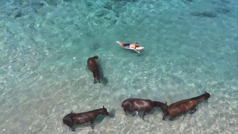 NIHI Sumba Horse Ride - A Day in Paradise: What to Expect from the NIHI Sumba Horse Ride