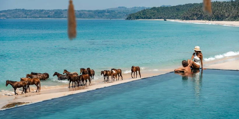 NIHI Sumba Horse Ride - Who Will Love This Experience?