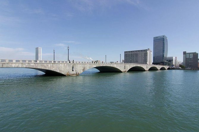 Niigata Full-Day Private Tour With Government-Licensed Guide - Exploration of Furumachi, Niigatas Geisha District