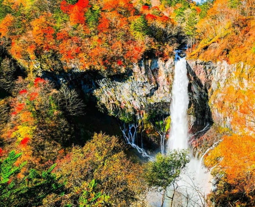 Nikko Day Tour from Tokyo with English Speaking Driver - An Overview of the Nikko Day Tour Experience